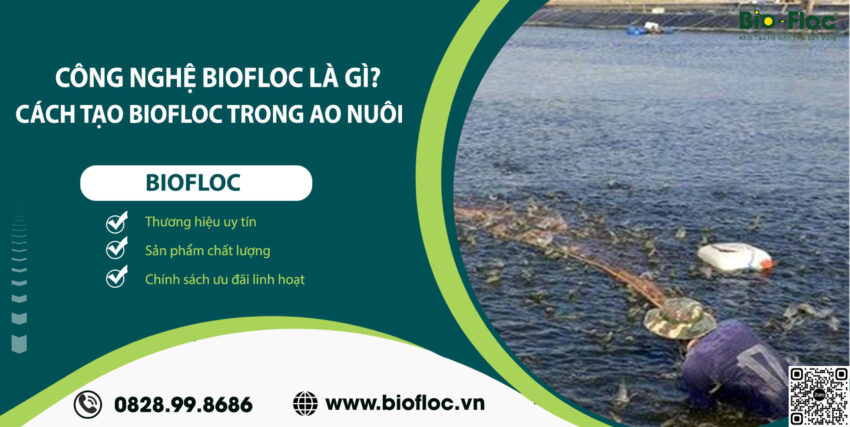 Công nghệ Biofloc là gì? Cách tạo biofloc trong ao nuôi | Bio-Floc
