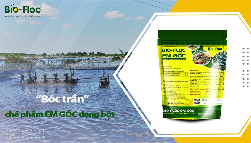 “Bóc trần” chế phẩm EM GỐC dạng bột | Nhà máy vi sinh Bio-floc