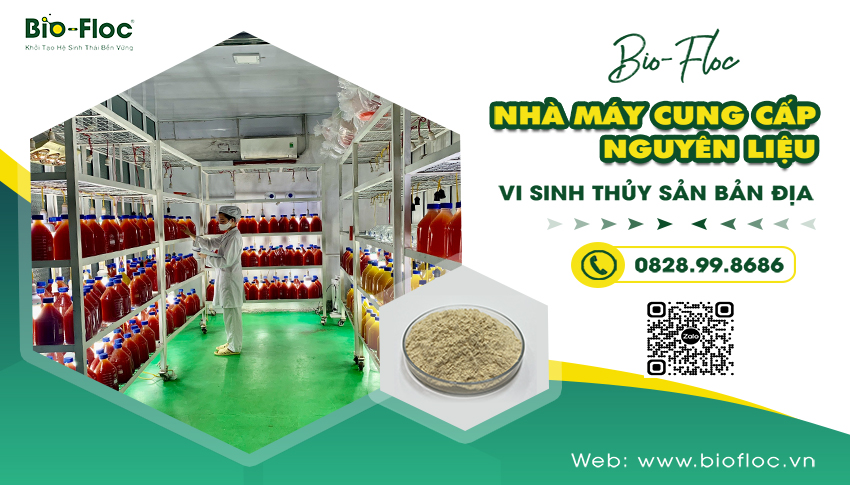 Bio-Floc - Nhà máy cung cấp nguyên liệu vi sinh thủy sản bản địa