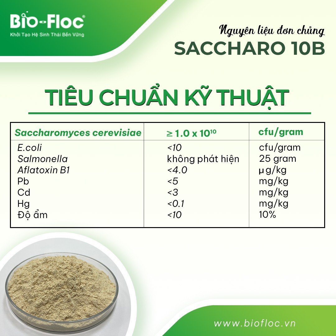 Nguyên liệu đơn chủng SACCHARO 10B - Bio-Floc nghiên cứu và sản xuất vi ...