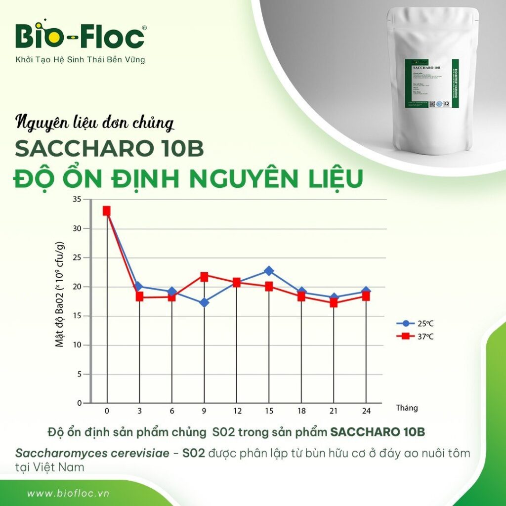 Nguyên liệu đơn chủng SACCHARO 10B - Bio-Floc nghiên cứu và sản xuất vi ...