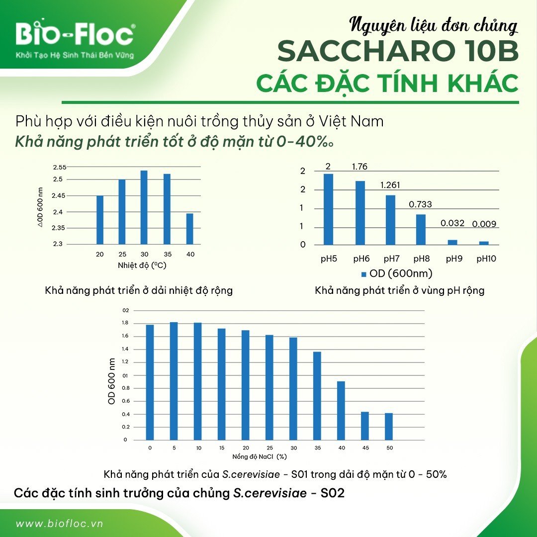 Nguyên liệu đơn chủng SACCHARO 10B - Bio-Floc nghiên cứu và sản xuất vi ...