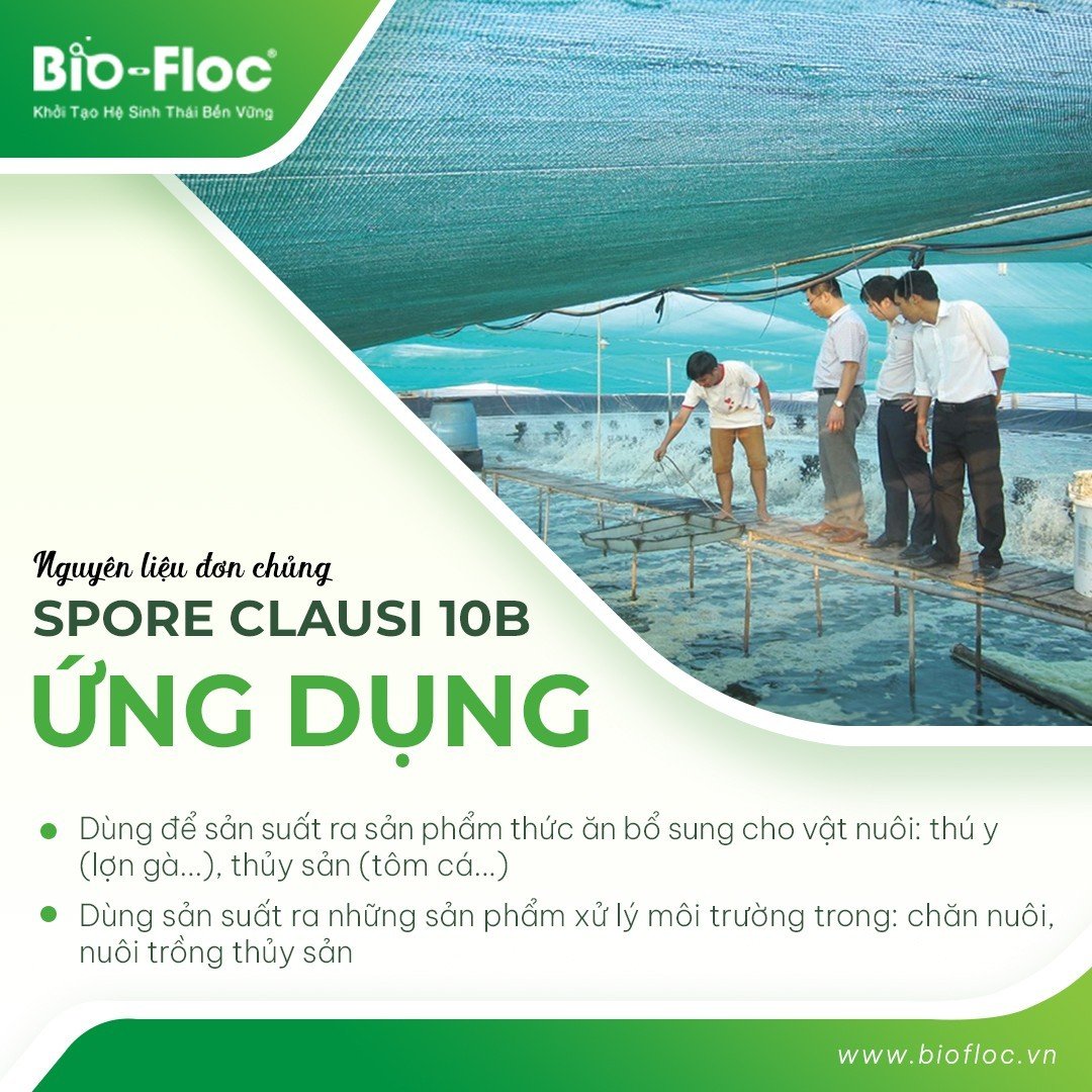 Nguyên liệu đơn chủng SPORE CLAUSI 10B - Bio-Floc nghiên cứu và sản ...