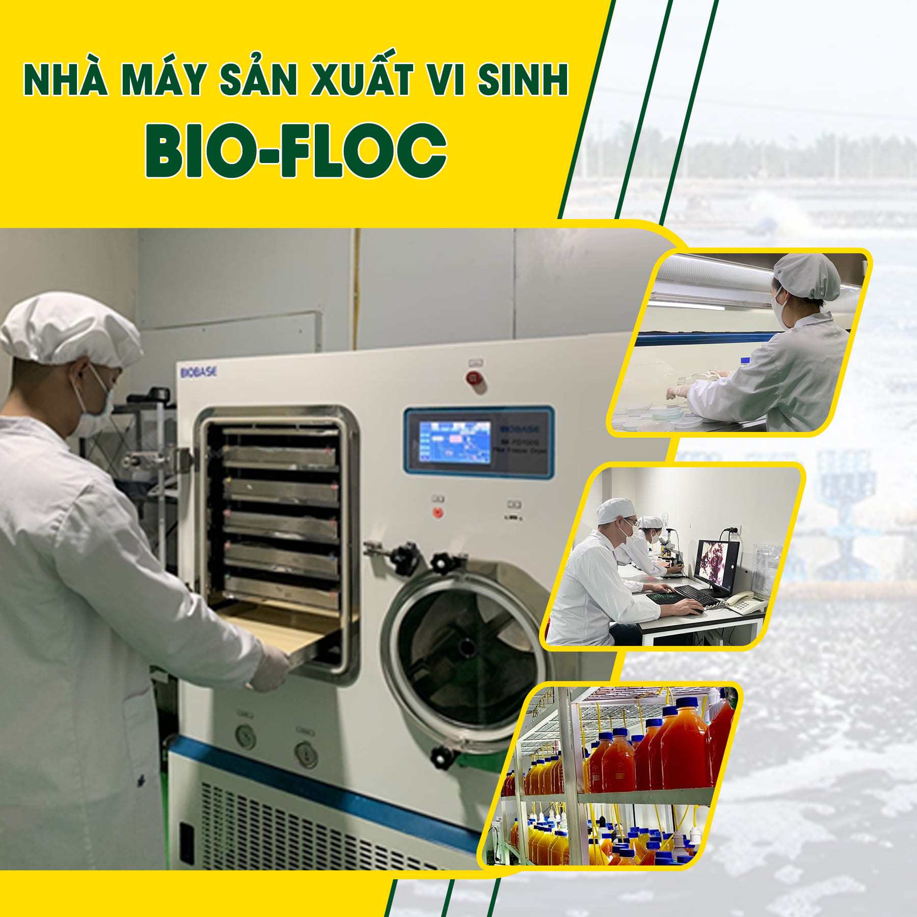 Nhà máy Bio-Floc gia công thuốc thuỷ sản những dòng sản phẩm nào? - Bio ...