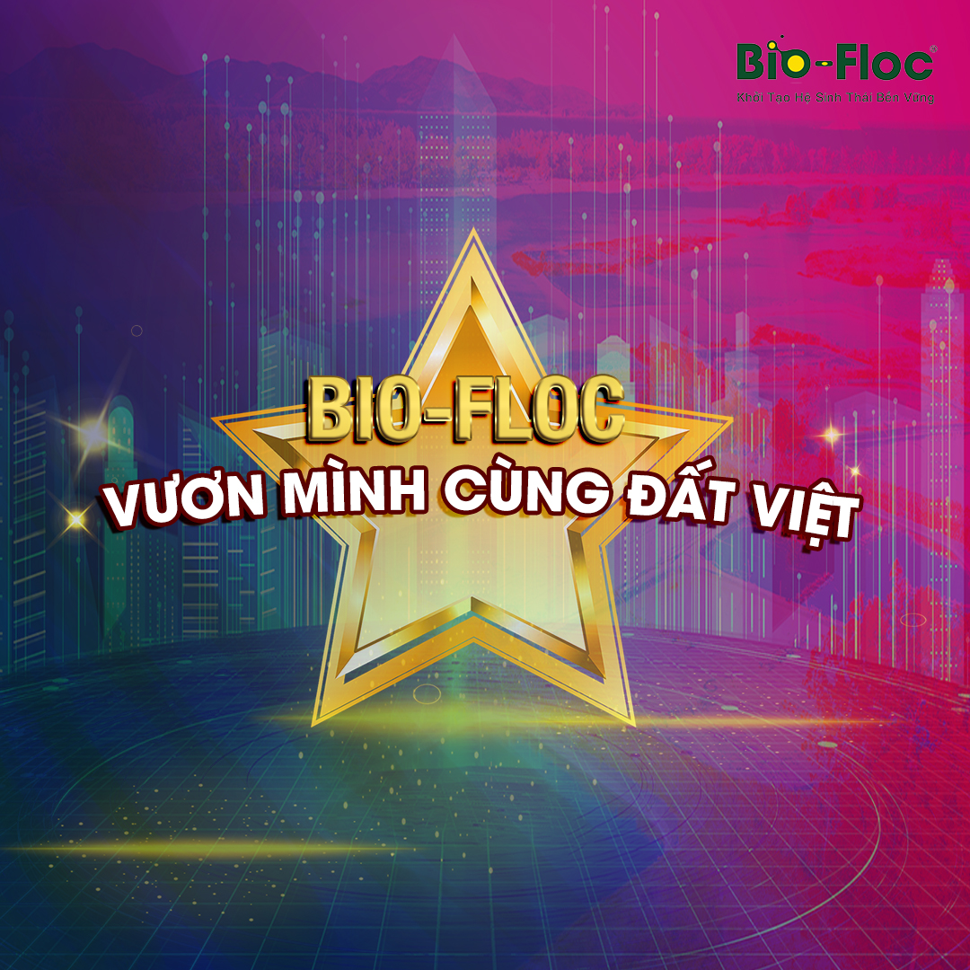 Bio-Floc Summer Trip 2025 – Du lịch Cát Bà | Hoạt động gắn kết tập thể